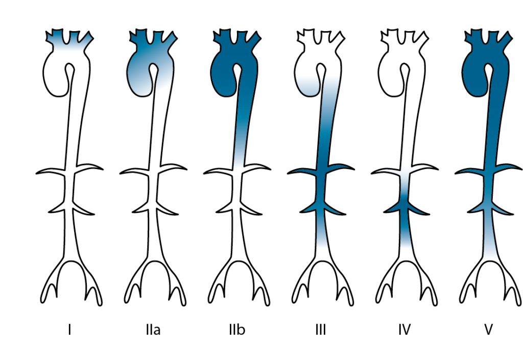 CBP - Figura 47-1 DIGITAL | Librería digital